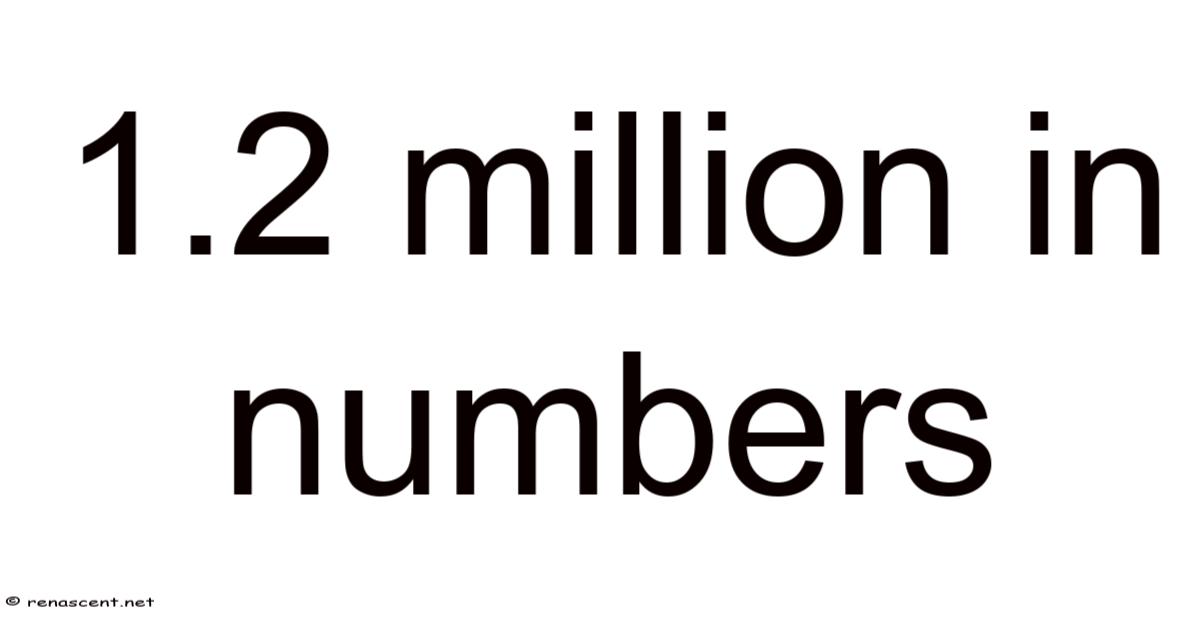 1.2 Million In Numbers