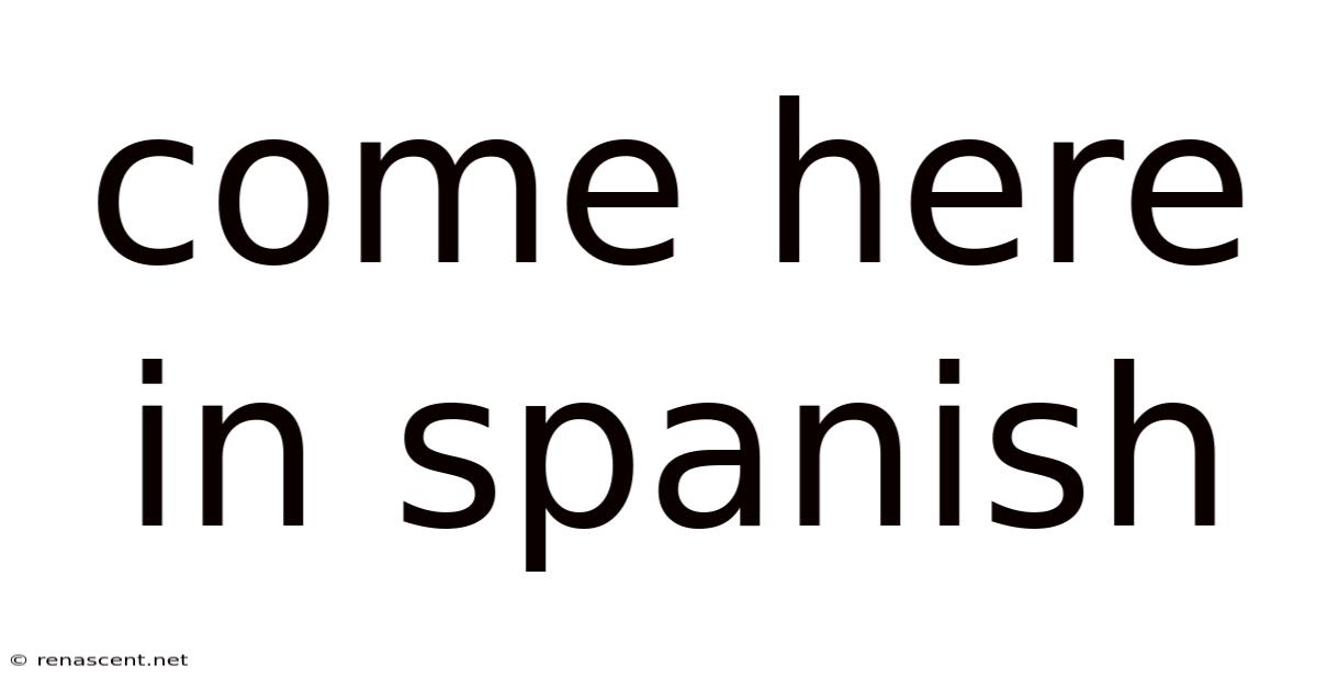 Come Here In Spanish